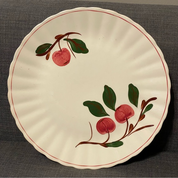Blue Ridge | Dining | Vintage Blue Ridge 25 Plate With Crab Apples ...